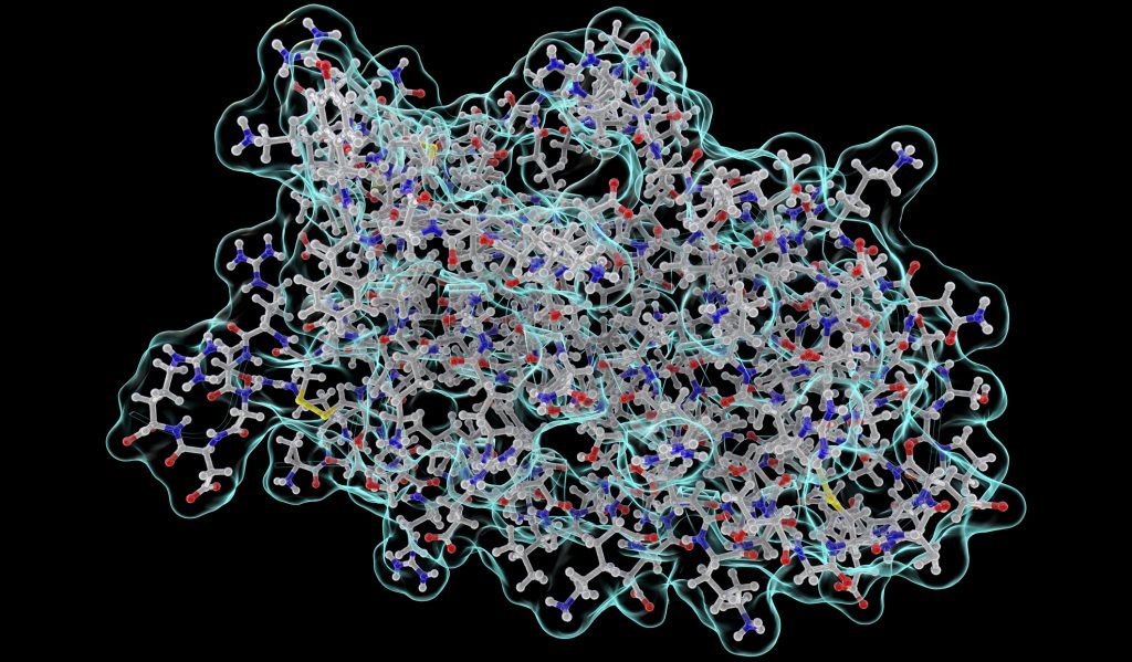Biological & Drug Mechanism of Action Analysis | MOA